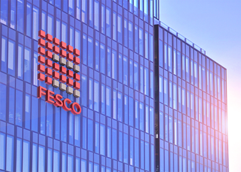 FESCO Personnel HK - 打造大湾区人才高地
